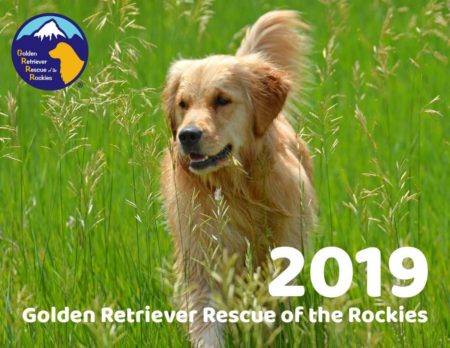 2019-GRRR-Calendar_Cover | Golden Retriever Rescue
