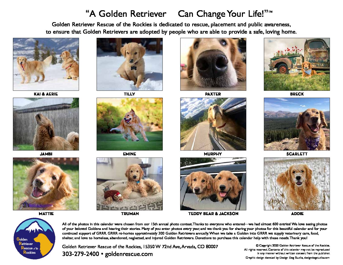 GRRR Calendar - Golden Retriever Rescue